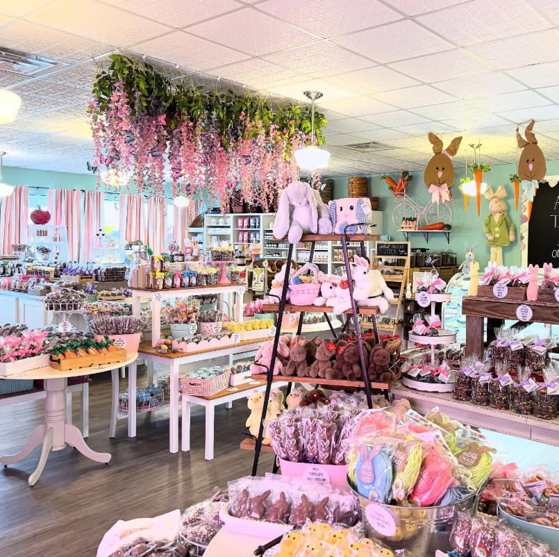 Our Story – Nibbles & Bits